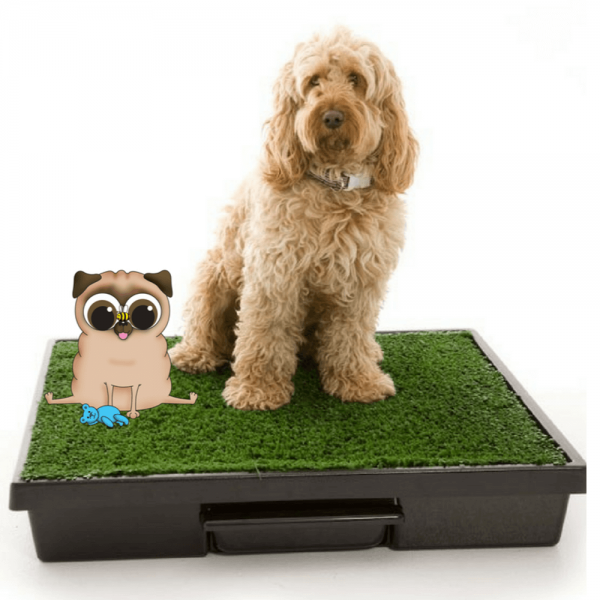 Dog Loo Deluxe Indoor & Outdoor Portable Pet Potty Kit - Top Dog Turf
