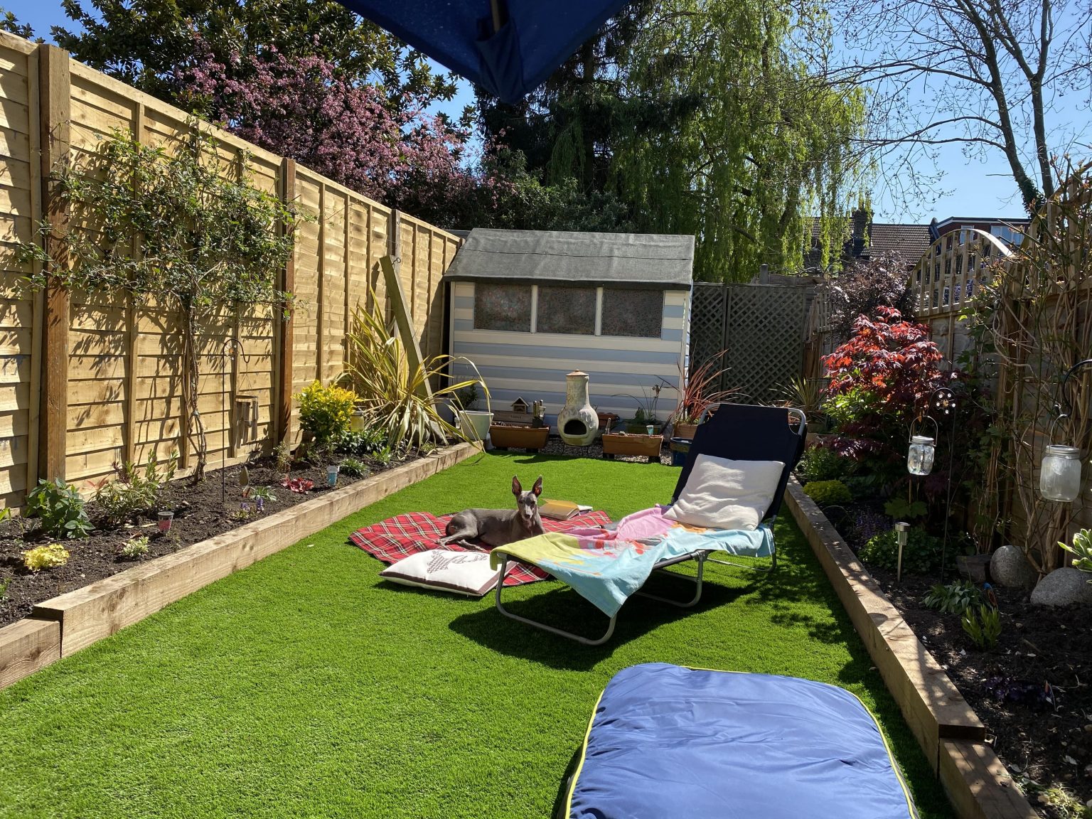 Sunny day - Top Dog Turf